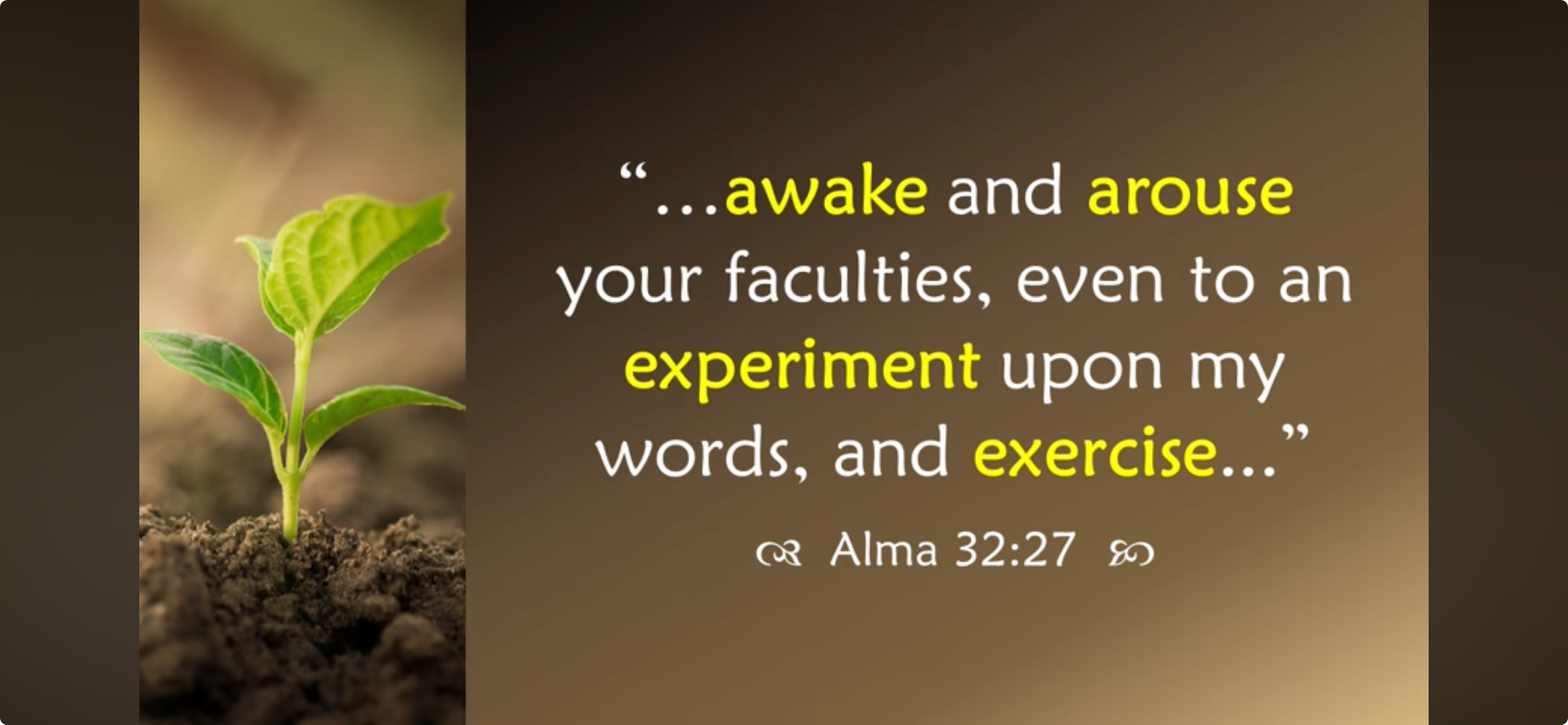 Turning a Testimony from a Seed to a Tree: Experiment Upon the Word ...