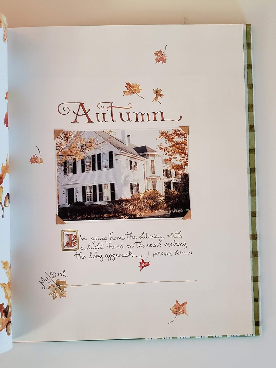 11/21/24 Tree of Life Mama’s Book of the Week for Moms: Autumn from the ...