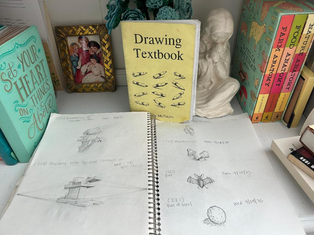 9/25/25 Tree of Life Mama’s Product of the Week: Drawing Textbook by ...